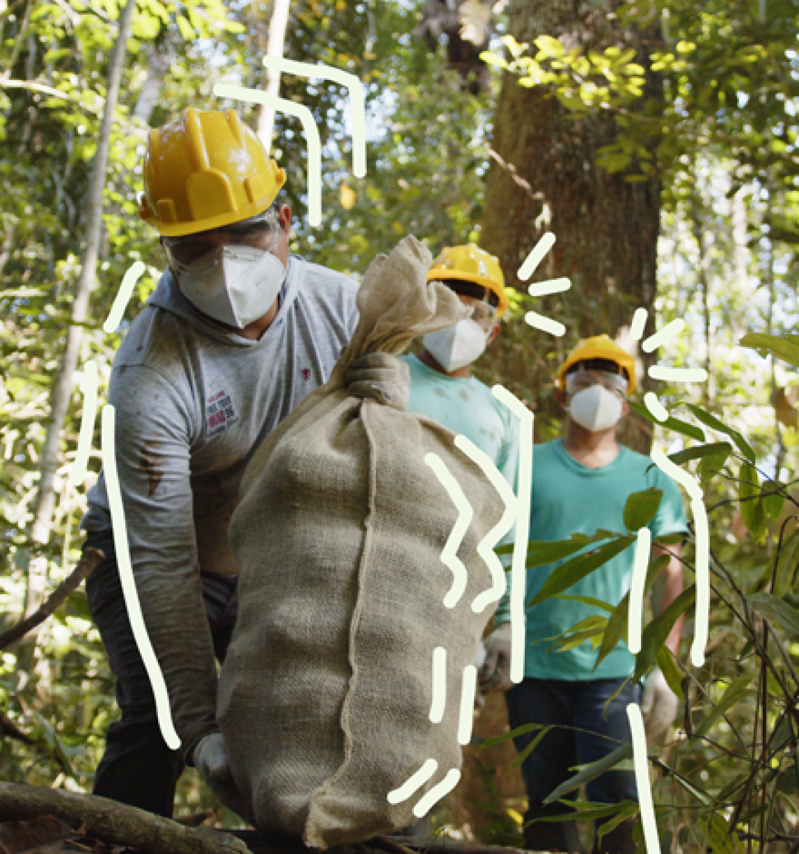 FSC's engagement in the EU Commission EUDR multi-stakeholder platform | fsc.org